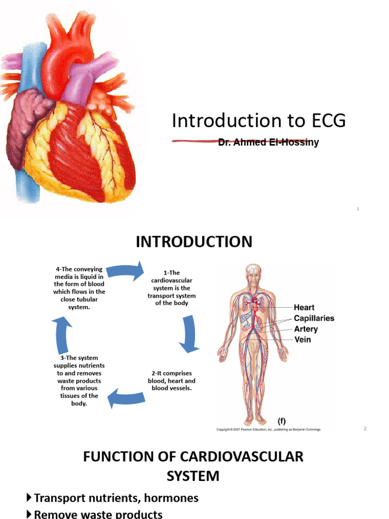LEC - 2-Introduction To ECG | PDF | Blood Vessel | Blood