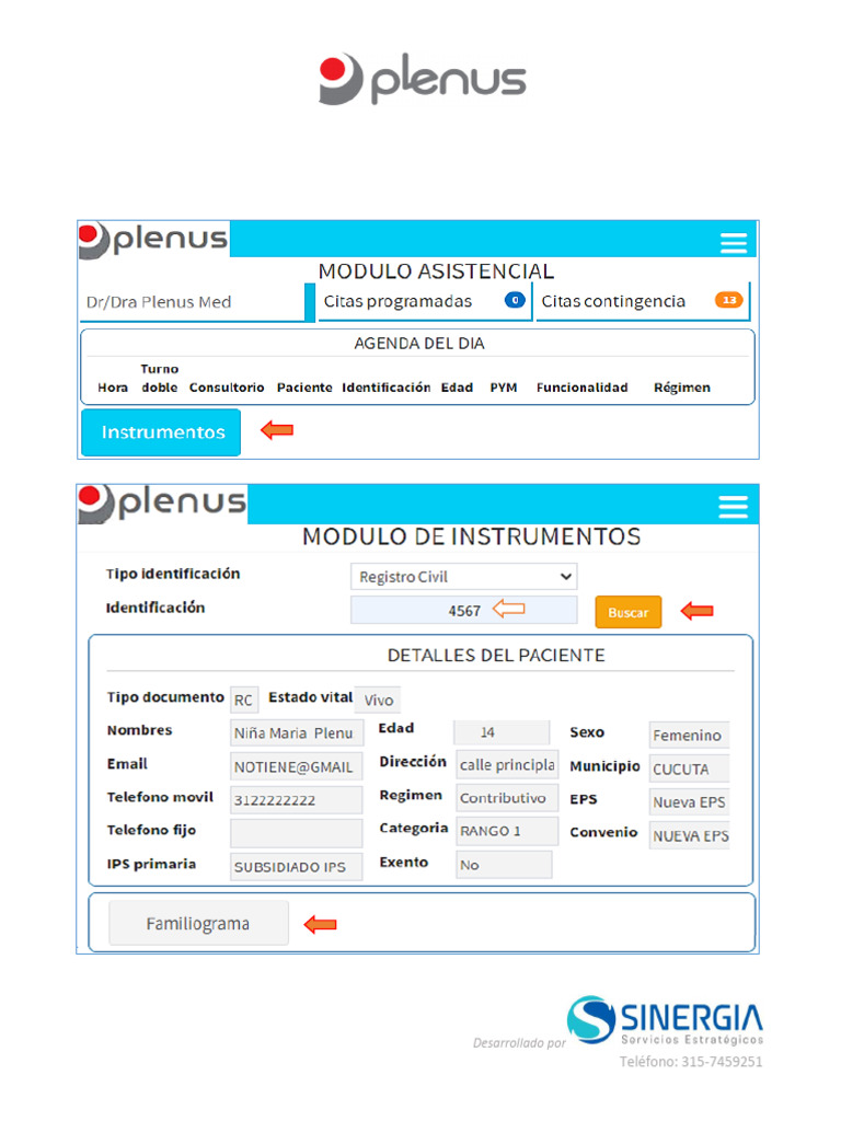 Manual FAMILIOGRAMA - Sistema Plenus | PDF