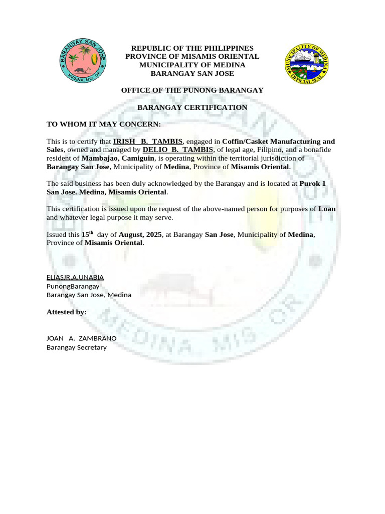 Barangay Certification for Local Business | PDF