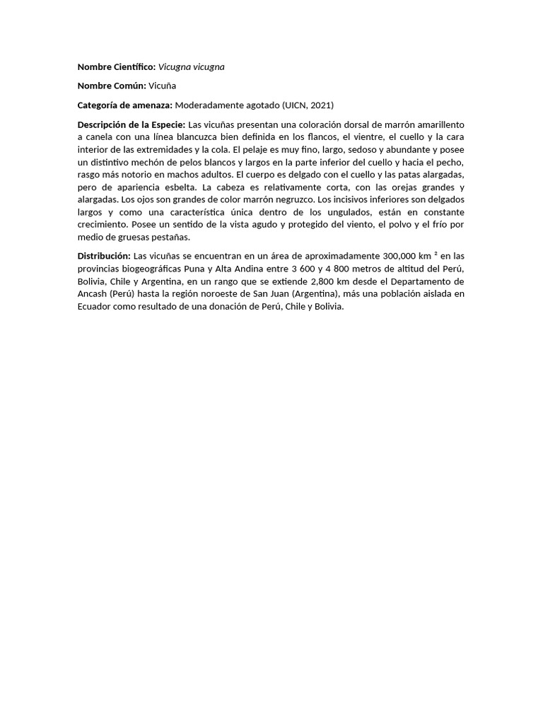 Color y características de la vicuña | PDF