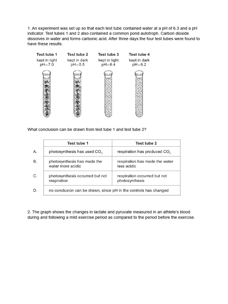 Cellular Respiration and Metabolism Insights | PDF | Cellular ...