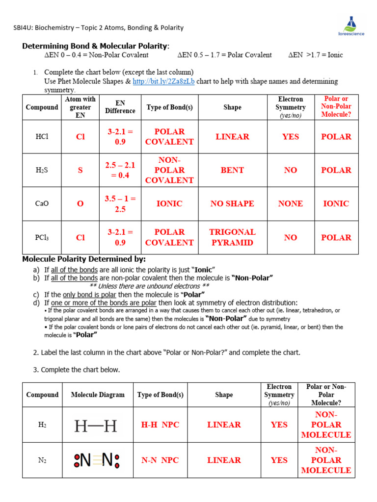 Polarity Worksheet 2 Answers | PDF | Chemical Polarity | Covalent Bond