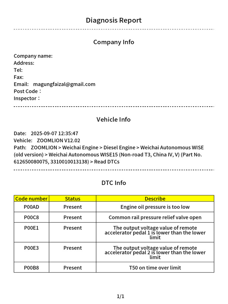 DTC - Zoomlion V12.02 - 20250907123546384 | PDF