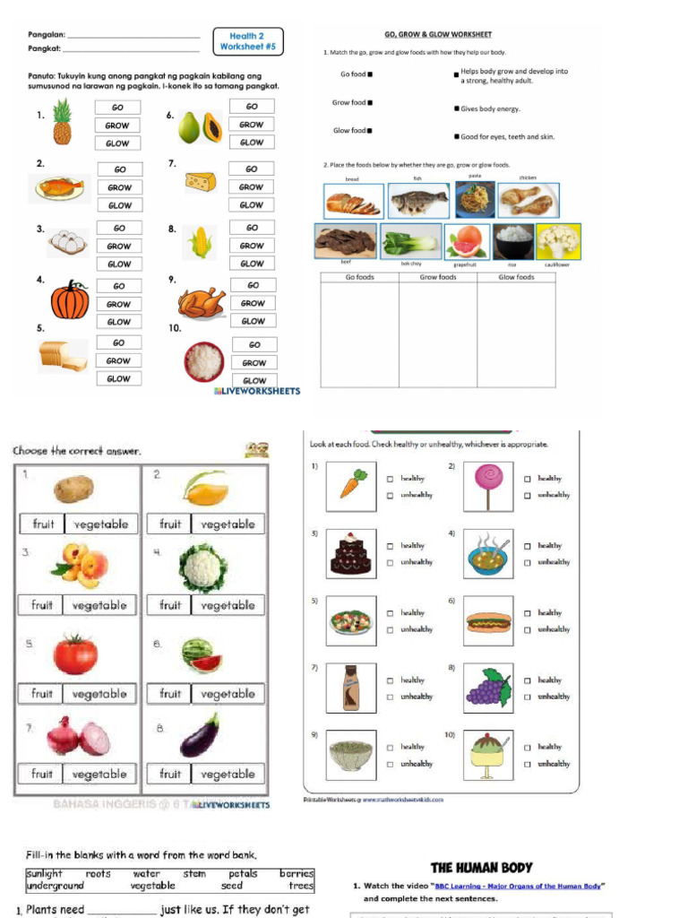 Science Worksheet | PDF