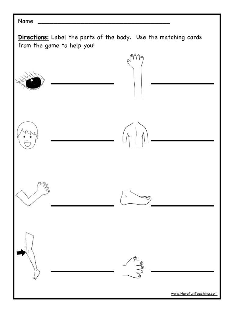Body Parts Memory Game PDF Organized | PDF