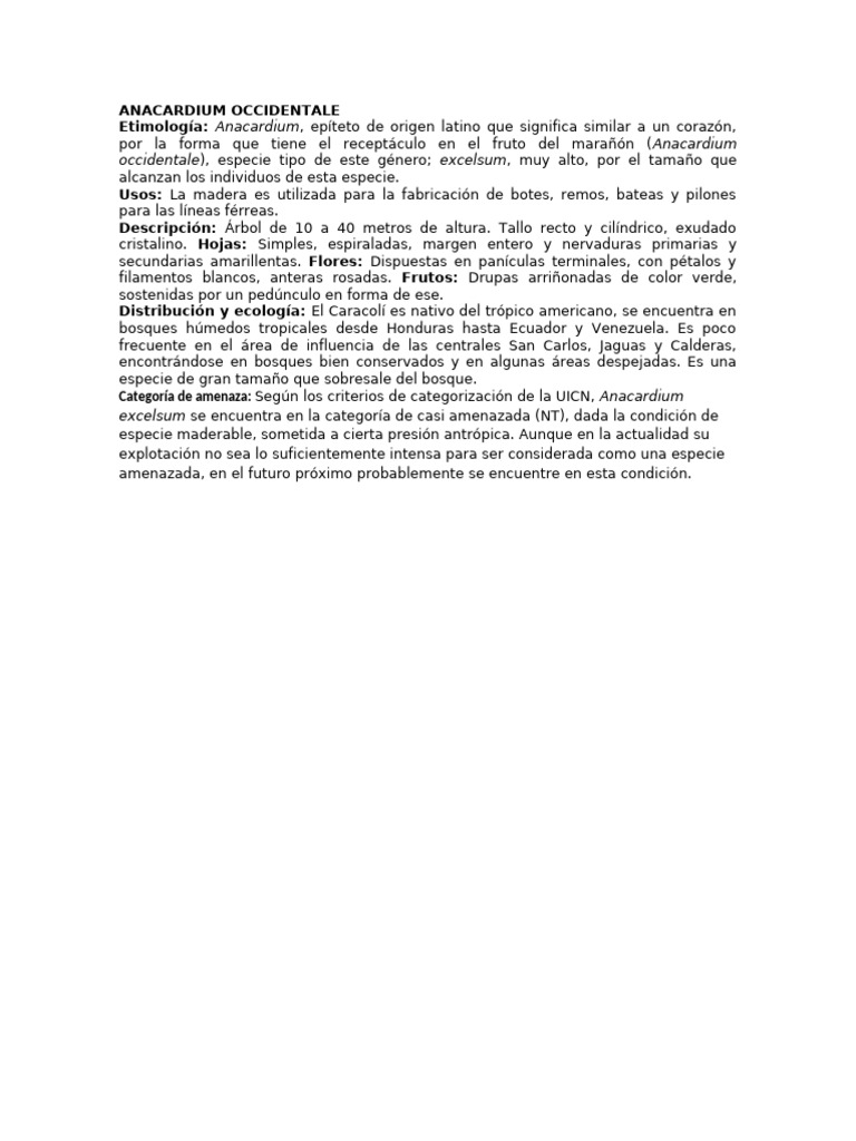 Anacardium Occidentale | PDF