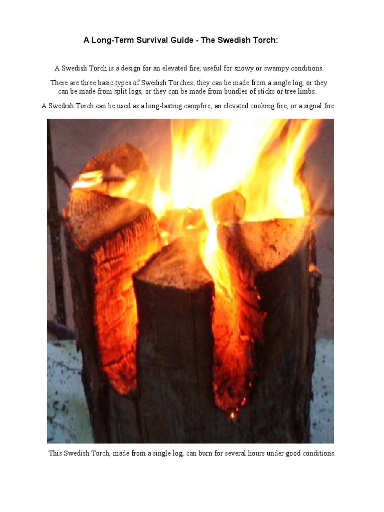 A Long-Term Survival Guide - The Swedish Torch | PDF
