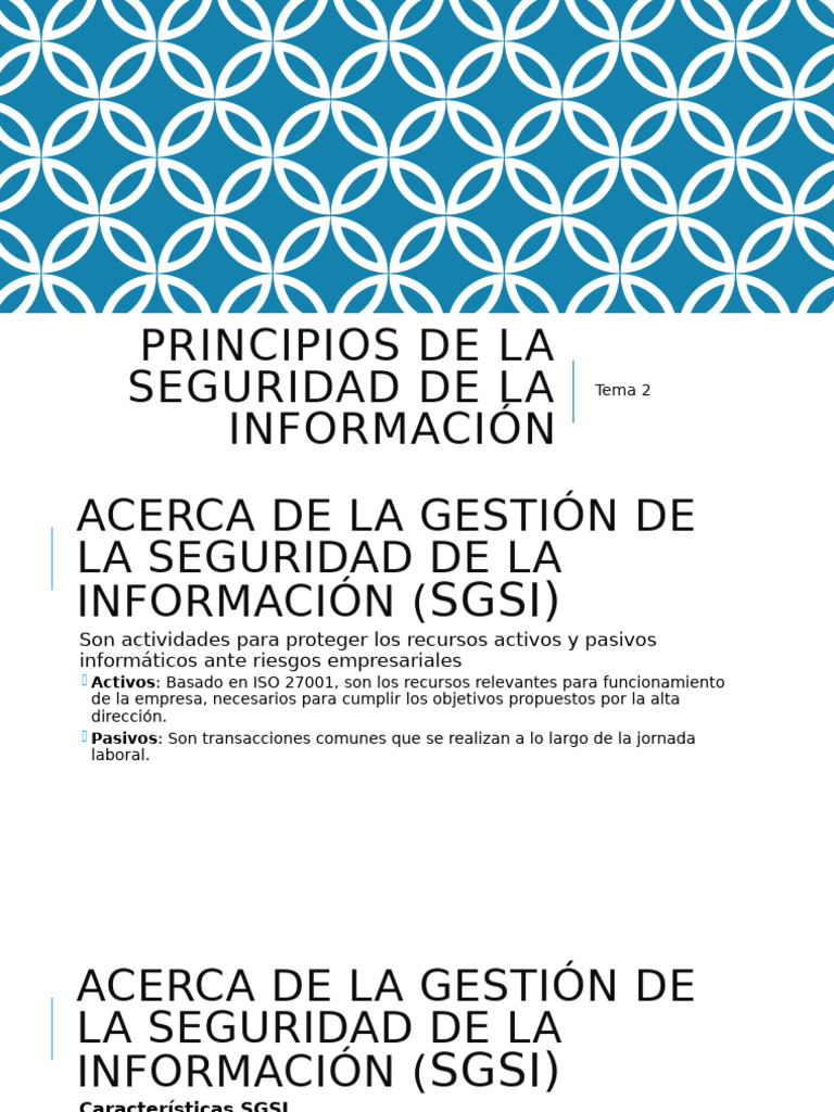 Clase 2 Principios de Seguridad de Informacion | PDF | La seguridad ...