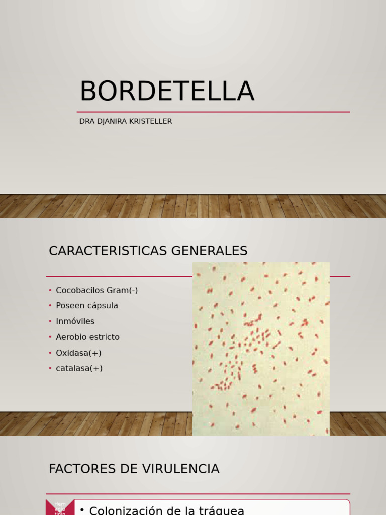 BORDETELLA | PDF | Inmunología | Microbiología