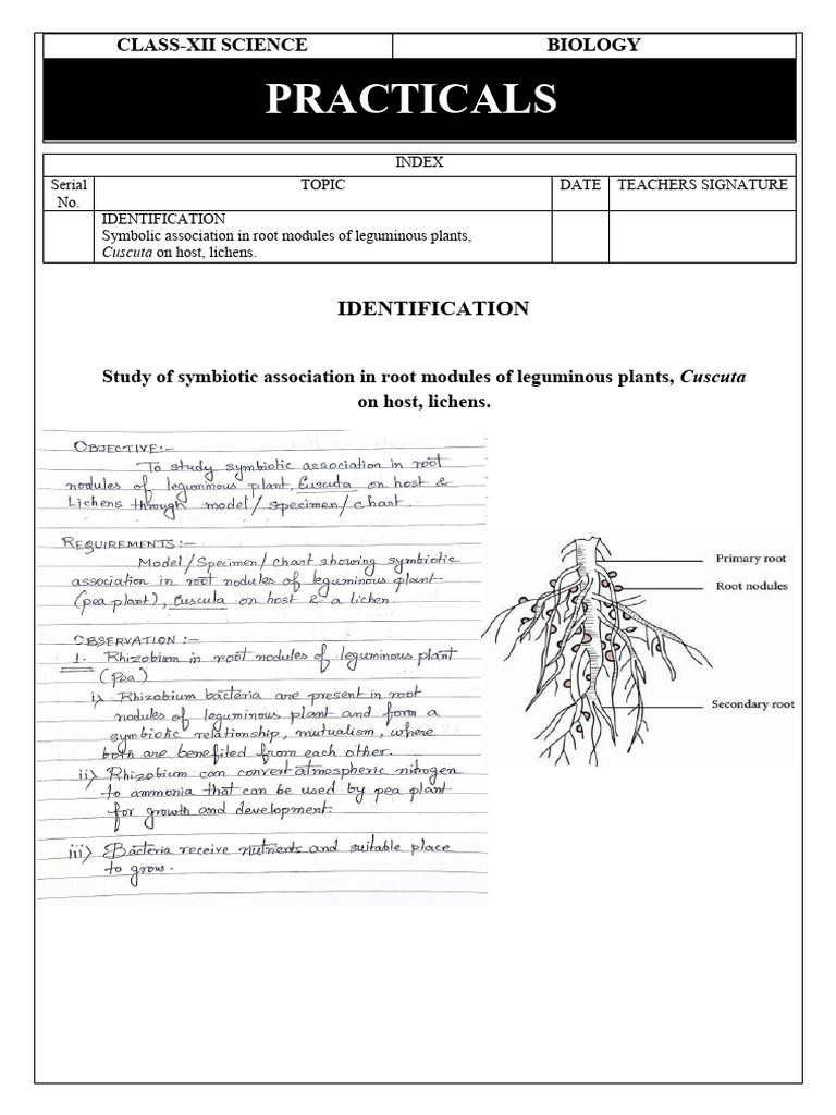 Symbolic Associations in Biology | PDF