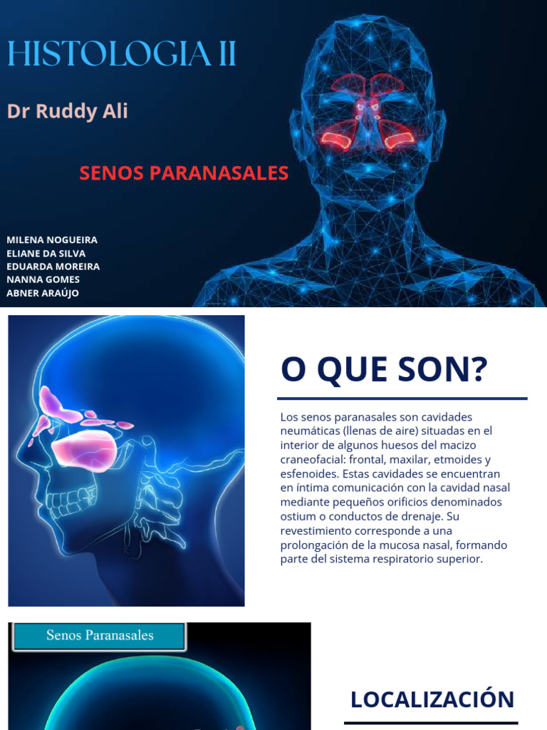 Senos Paranasales | PDF | Anatomía humana | Rinología