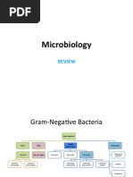 Microbiology Mnemonics | PDF | Bacteria | Gram Negative Bacteria