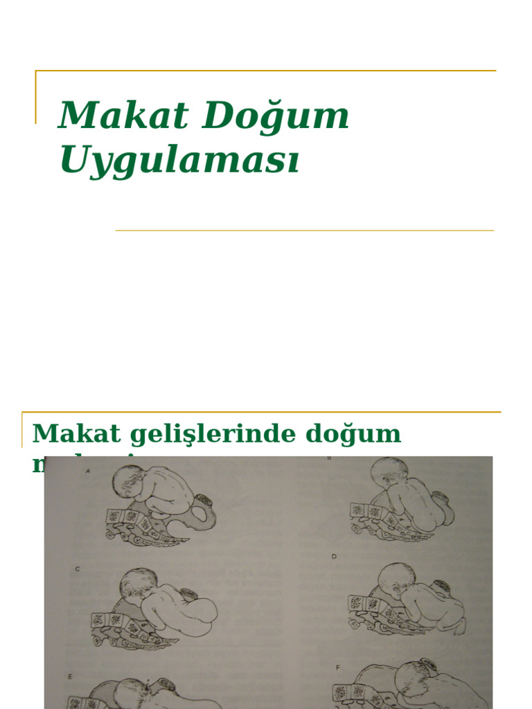 Makat Doğum Ve Omuz Distosisi | PDF