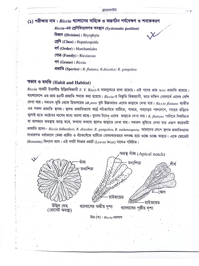 HC Practical Tanjir | PDF