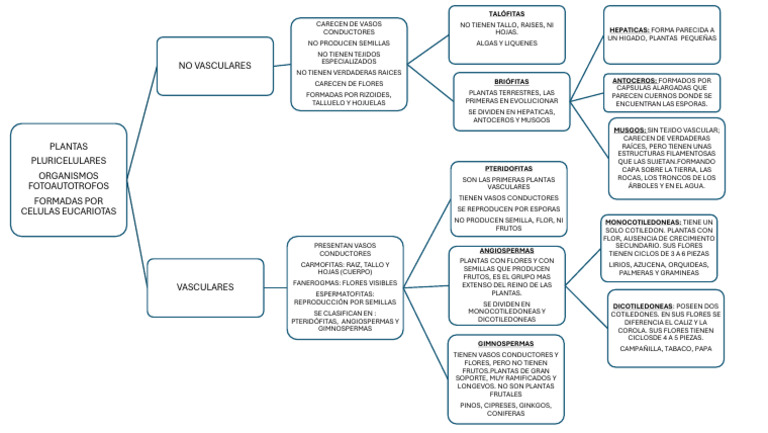 Clasificacion de Las Plantas Mapa Conceptual | PDF | Plantas | Tallo de ...