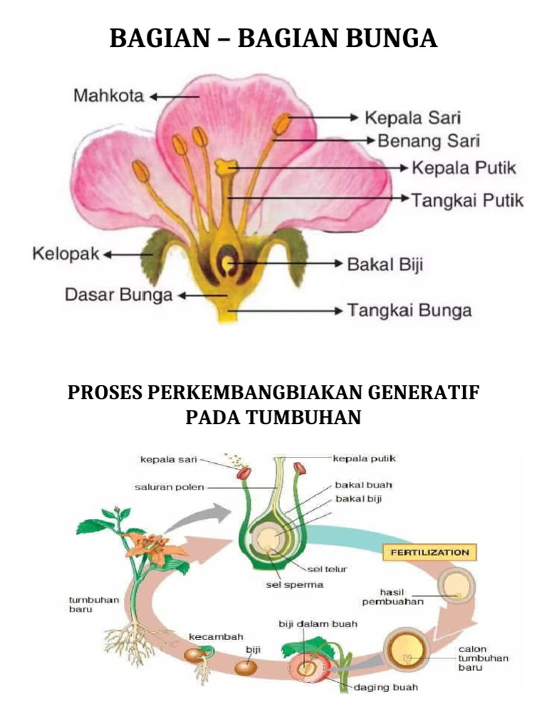 Bagian-Bagian Bunga | PDF