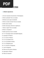 Chance Find Procedure Guidelines | PDF | Burial | Archaeology