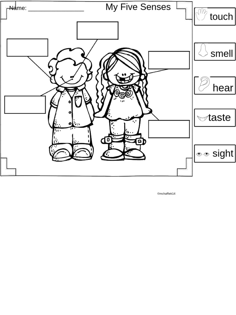 My Five Senses Labeling Freebie | PDF