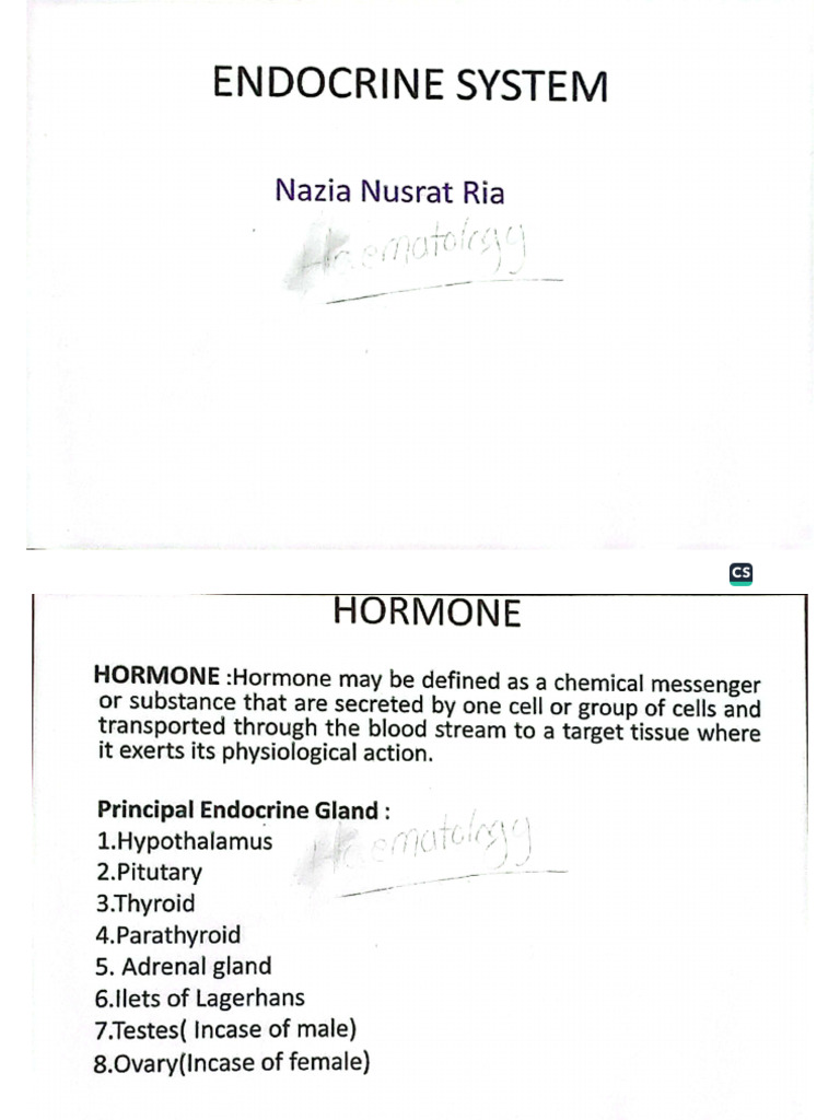 Endocrine System Part-1 | PDF