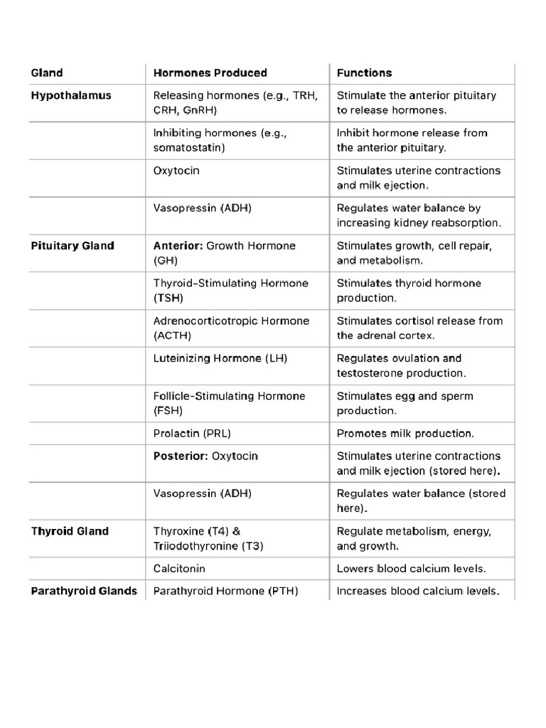 Endocrine System Hormones | PDF | Lymphatic System | Central Nervous System