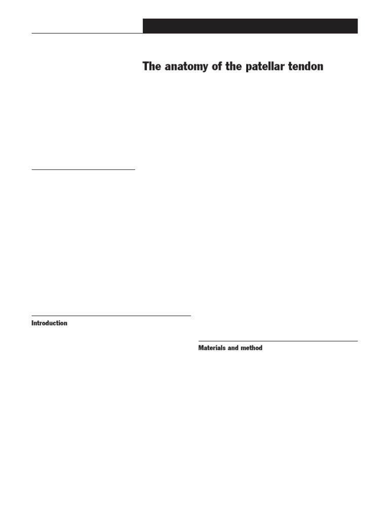 Anatomia Del Tendon Patellar | PDF | Knee | Anatomical Terms Of Location
