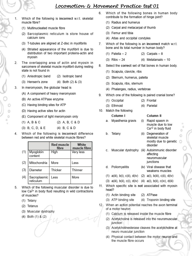 Practice Test Locomotion & Movement | PDF | Skeletal Muscle | Muscle ...