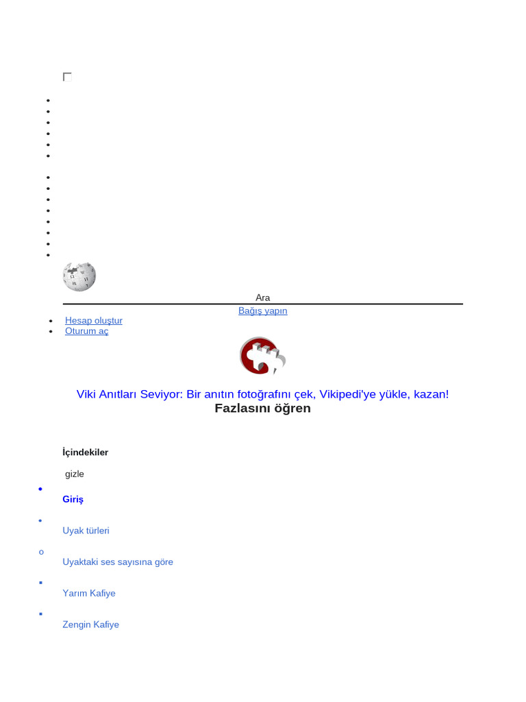 Kafiye Nedir Konsjuus | PDF