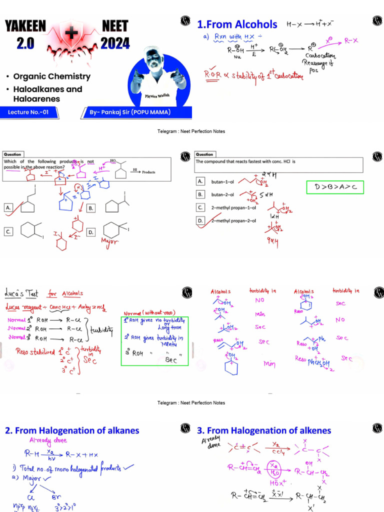 NEET Perfection Telegram Notes | PDF