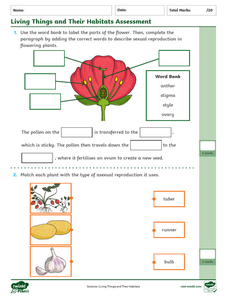 Living Things and Habitats Assessment | PDF | Egg | Reproduction