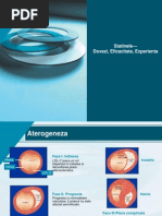 Statin Dose Intensity and Equivalency Chart (UMHS 2014) PDF | PDF ...