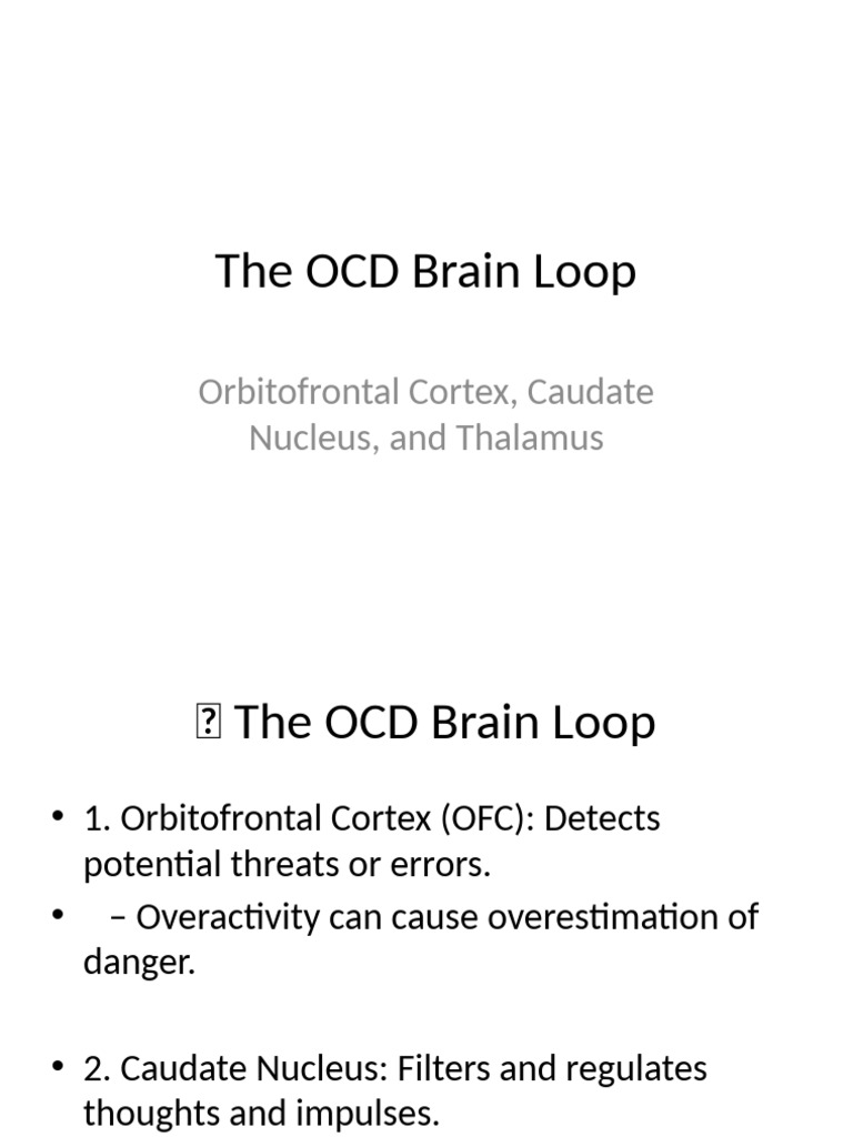 Understanding the OCD Brain Loop | PDF