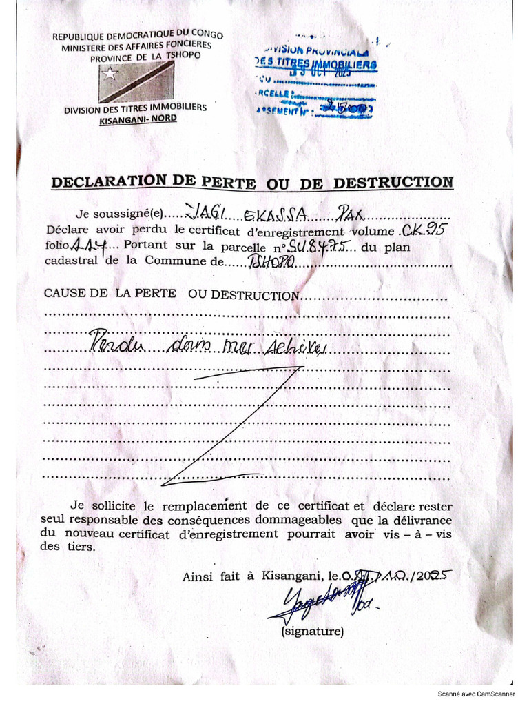 Déclaration de Perte Ou de Destruction | PDF