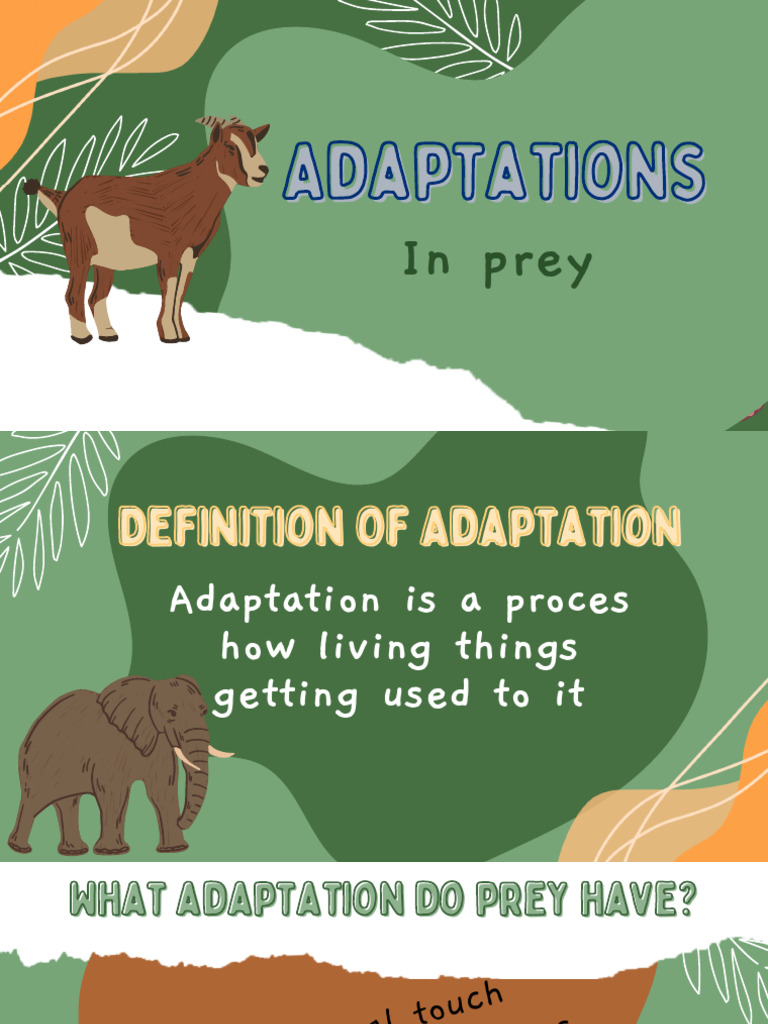 Adaptations Education Presentation in Brown and Green Handdrawn Style ...