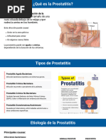 Prostatitis y epididimoorquitis: Guía clínica | PDF | Próstata ...