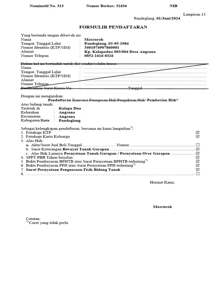 313 Form | PDF