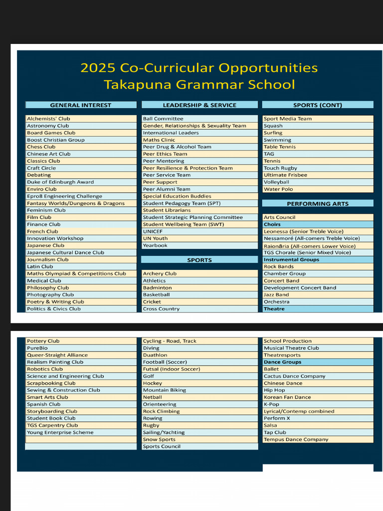 Co-Curricular Opportunities 2025.Xlsx - Sheet1.PDF - Google Drive | PDF | Sports | Entertainment
