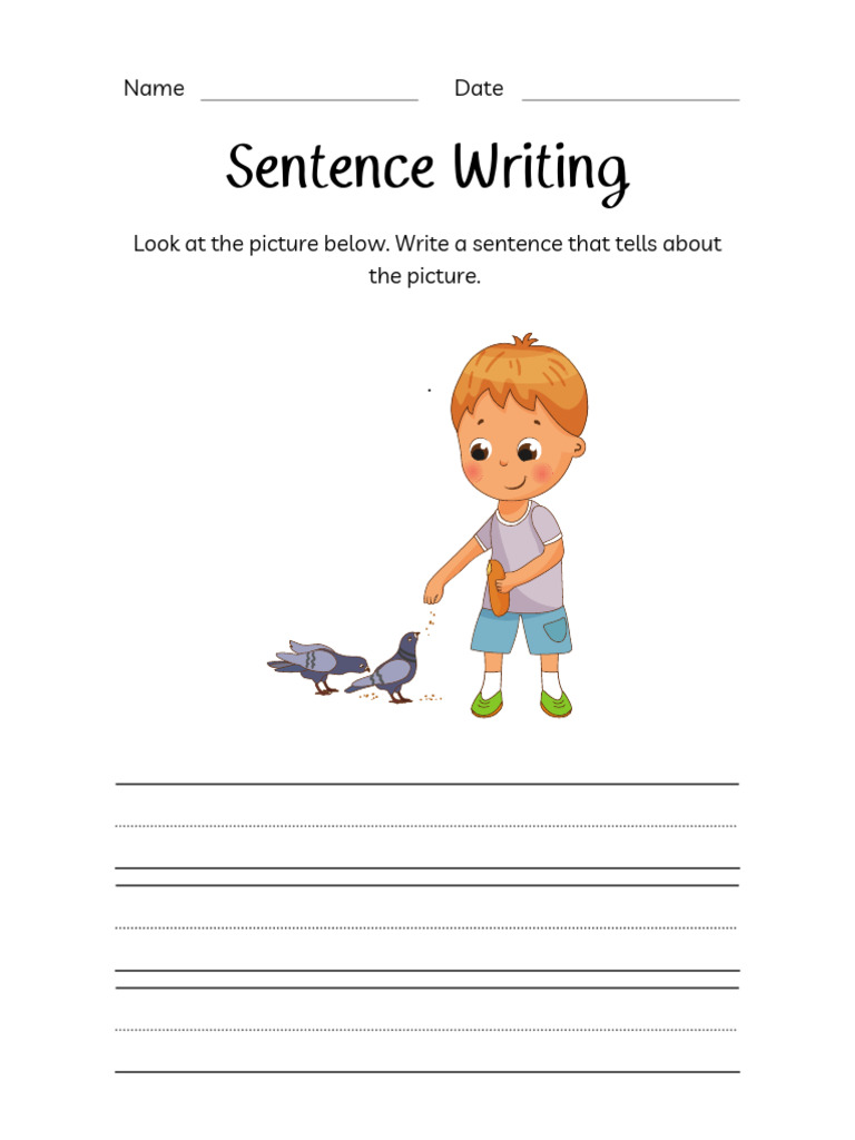 Sentence Writing Boy Feeding Birds | PDF