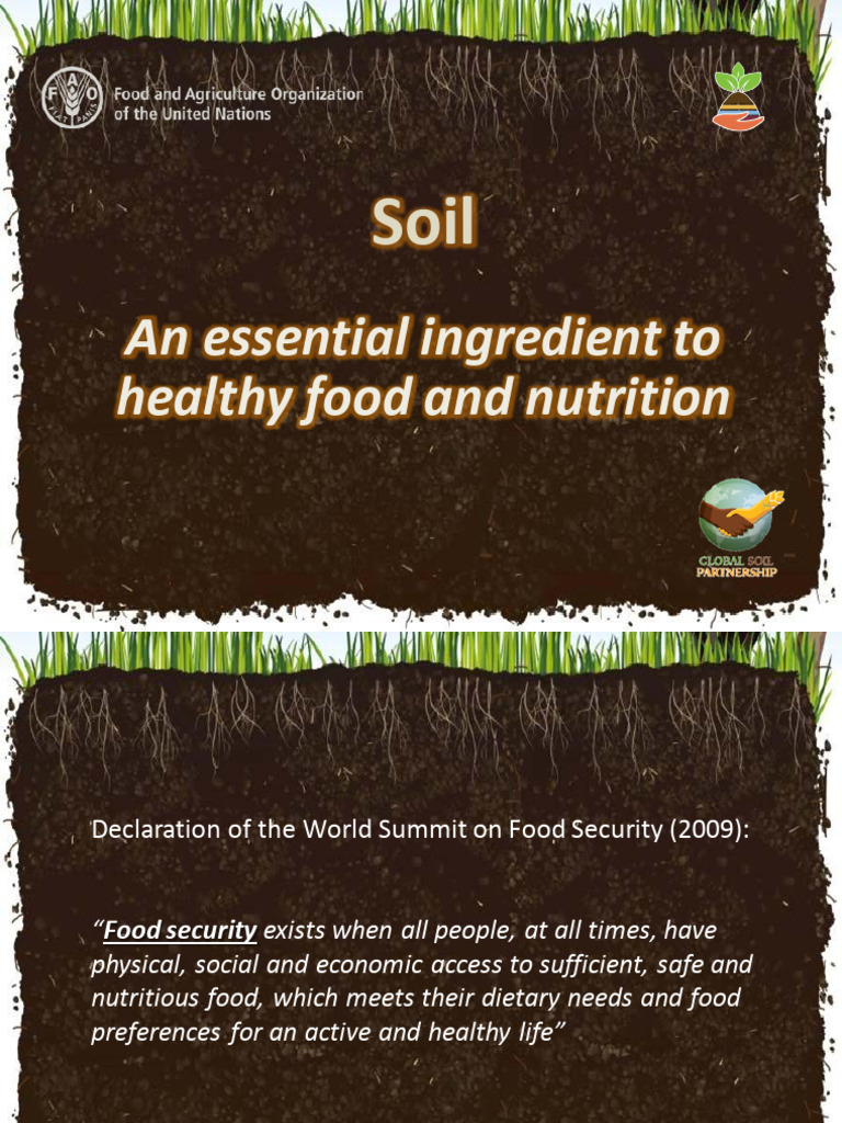Soil's Role in Food Security and Health | PDF | Soil | Diet & Nutrition
