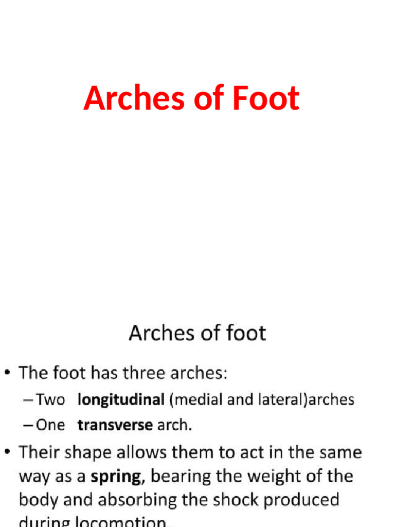 Arches of Foot | PDF