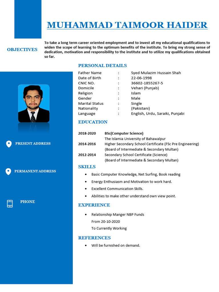 Muhammad Taimoor Haider CV | PDF