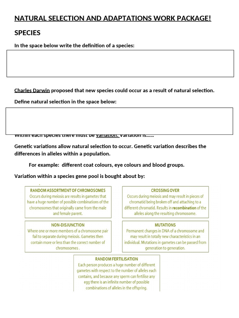 Natural Selection and Adaptations Work Package | PDF