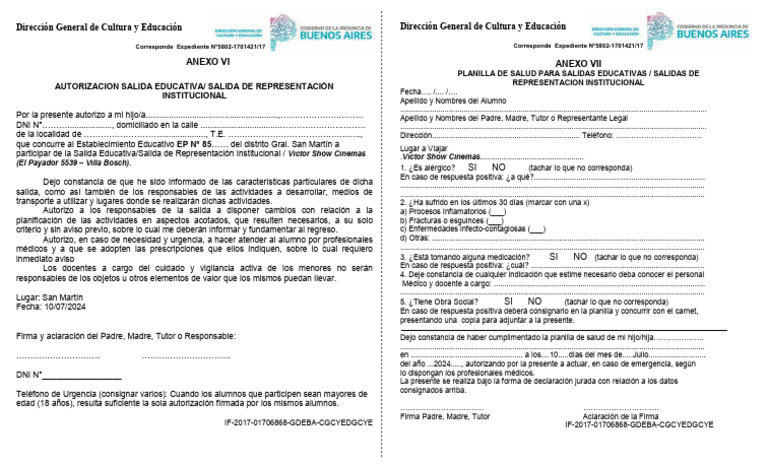 Anexo VI y VII 378-17 PASEO AL CINE 5° 2024 | PDF