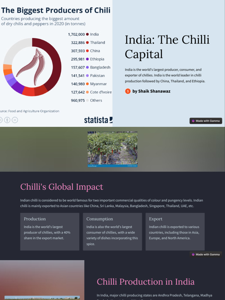 India: The Chilli Capital Explained | PDF | Chili Pepper | Curry