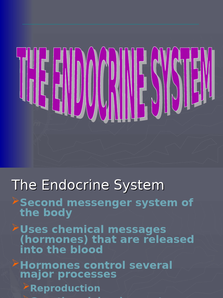 Endocrine System Presentation | PDF | Adrenal Gland | Endocrine System