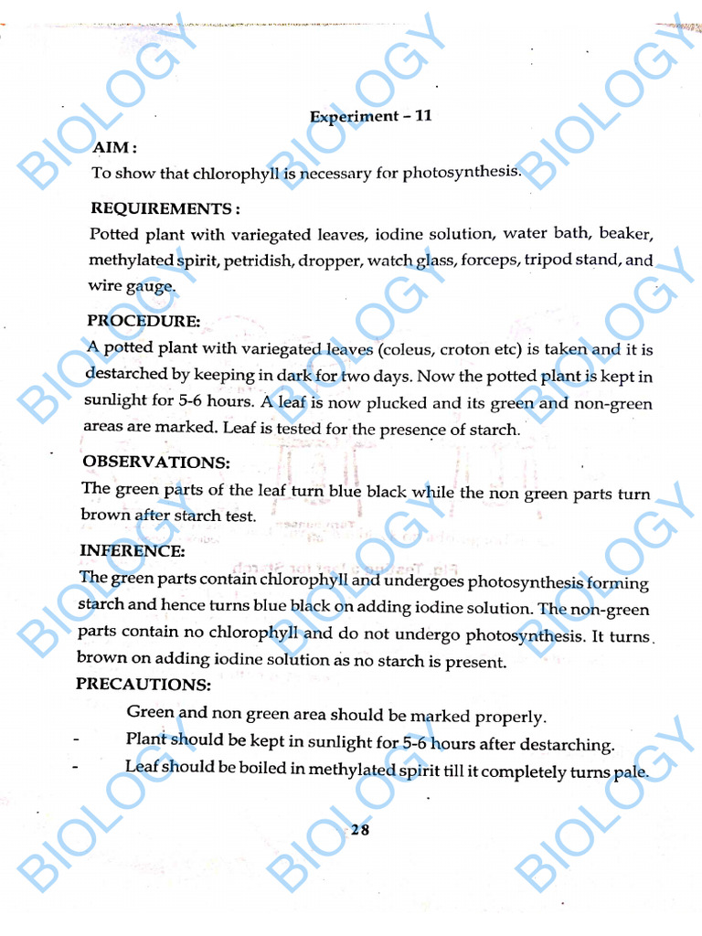 Biology Practical (Experiment 11 To 20) | PDF
