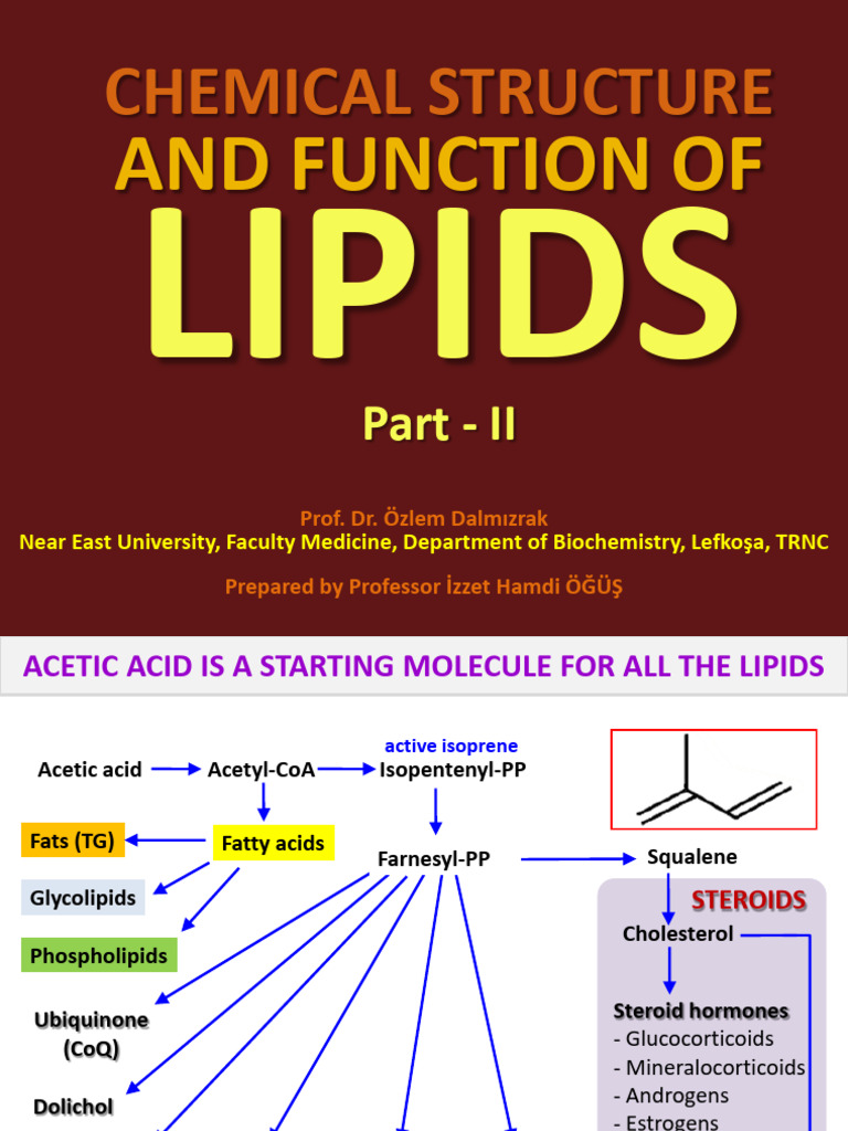LIPIDS-II-Chemical Structure and Function of Lipids | PDF | Cholesterol ...