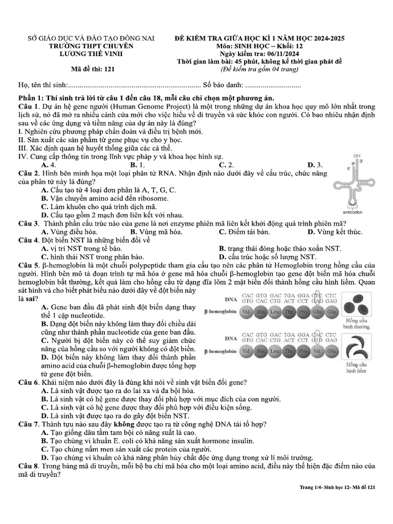 ltv-SINH 12- GK1-24-25- MA 121 | PDF