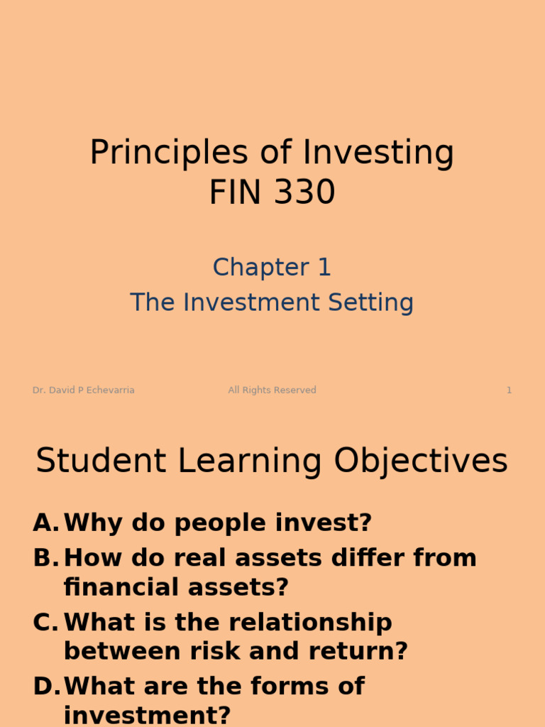 Principles of Investing Explained | PDF | Financial Risk | Stocks