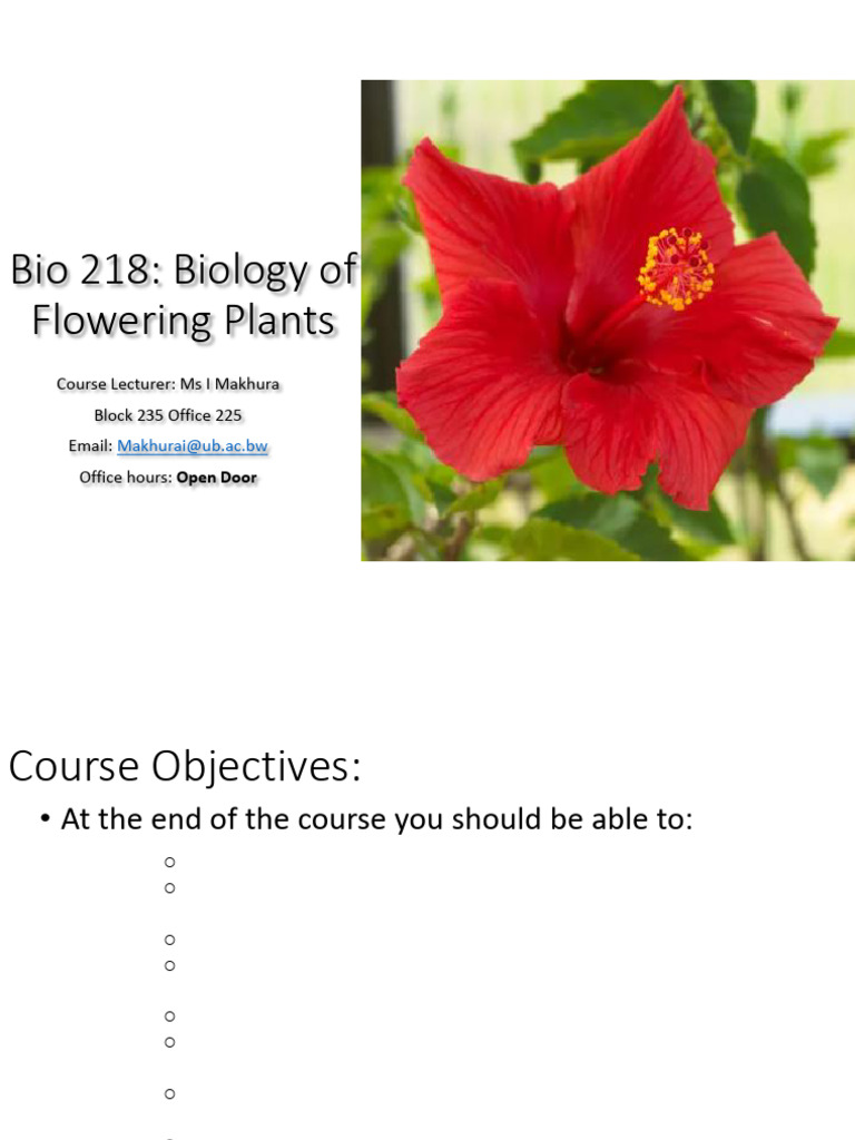 Lecture 1 - Economic Botany | PDF | Cereals | Maize