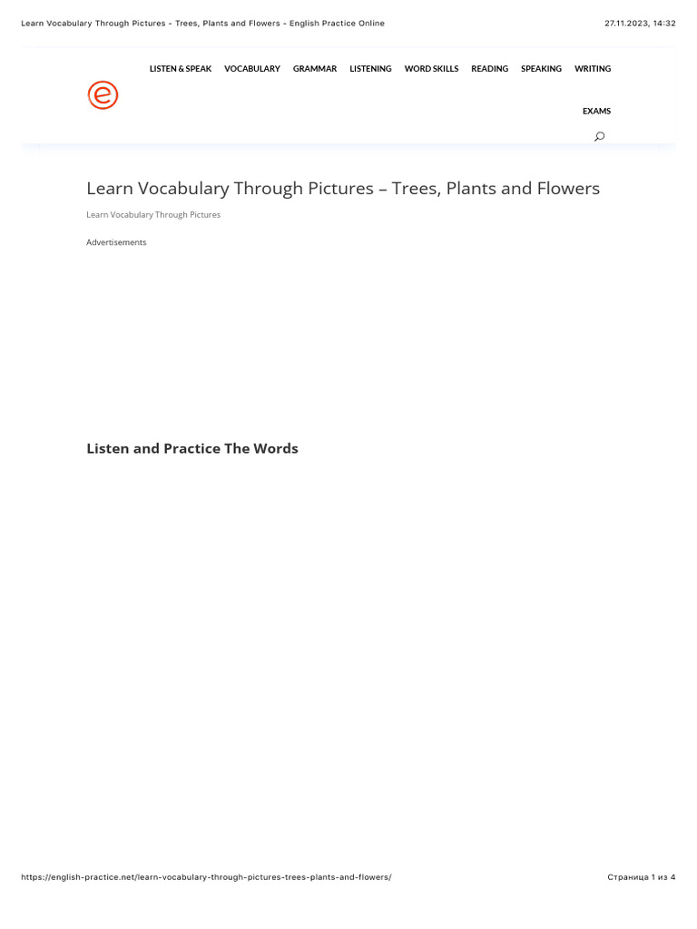 Vocabulary for Trees and Plants | PDF | Trees | Botany